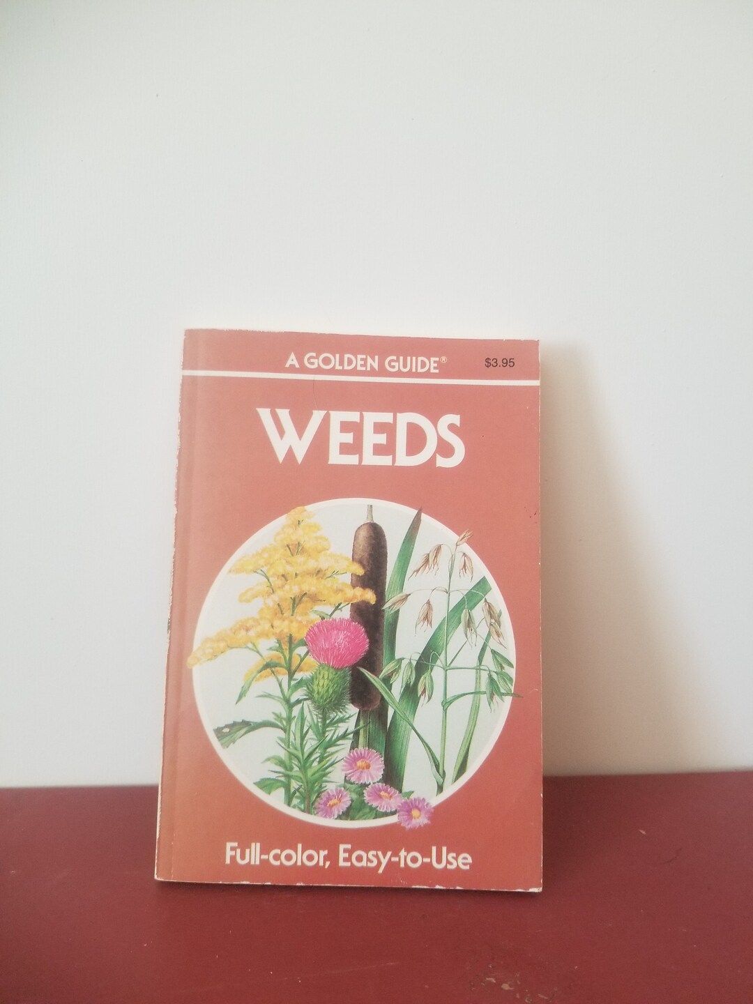 A Golden Guide Weeds Full-color, Easy-to-use - Etsy