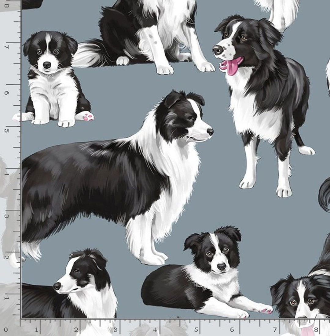 Adorable Border Collie Fabric Perfect for Quilting, Crafts and Home ...