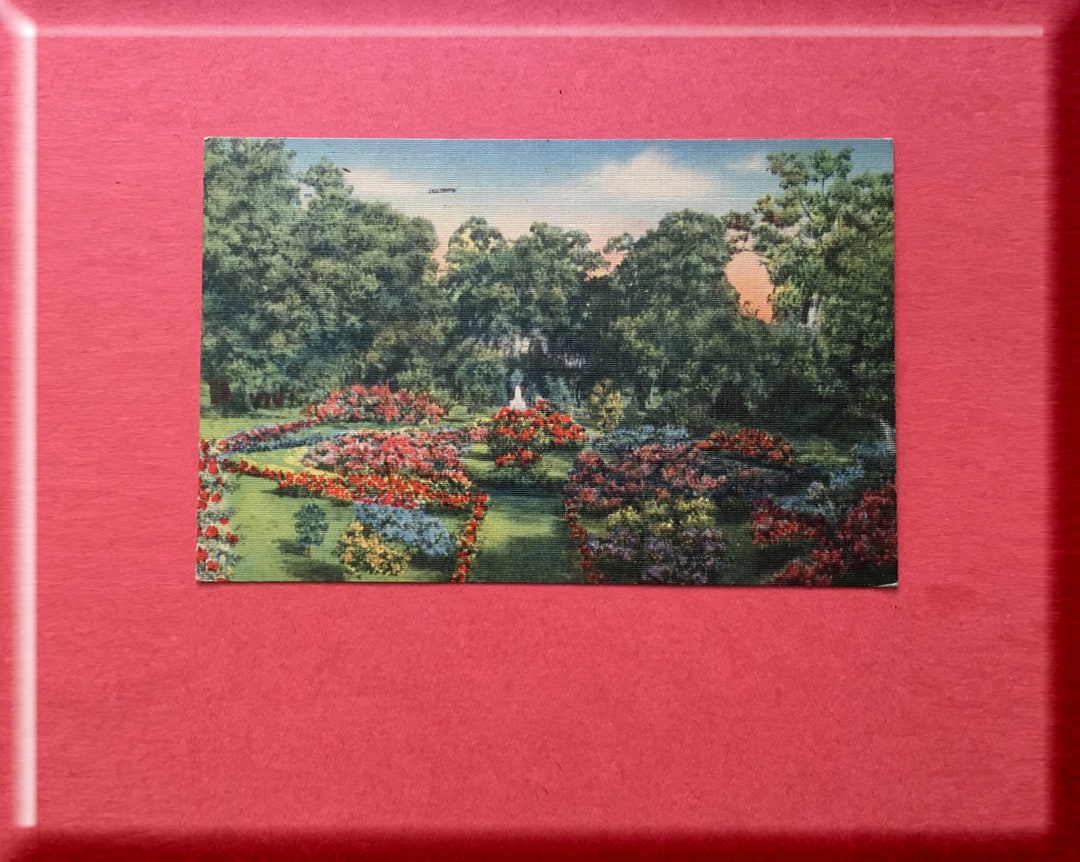 Vintage Postcard 1955 Color Linen Finish Garden "les Jardins De Mouton ...