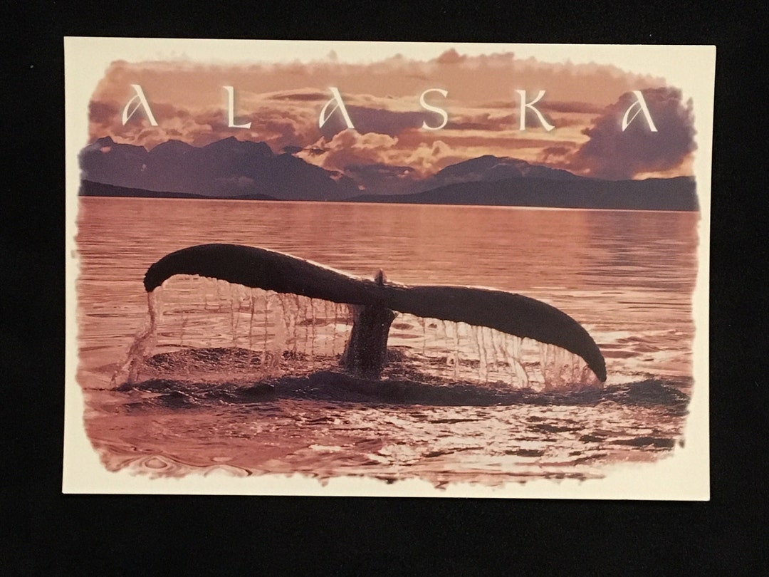 Alaskan Wildlife Postcard Humpback Whale Tail, Arctic Circle ...