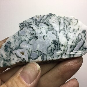 Beautiful Green Tree Agate Rough Lapidary Slab | Etsy