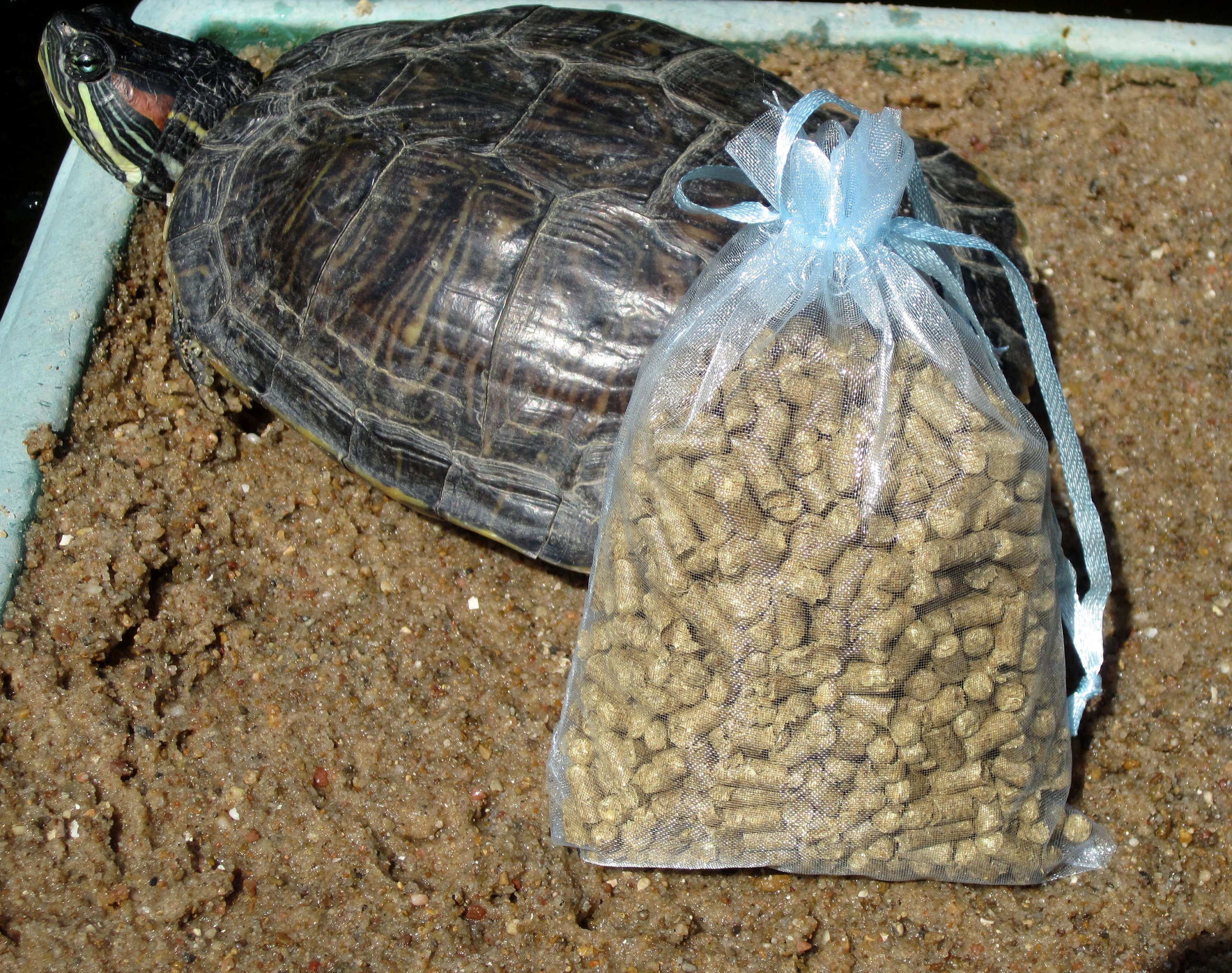 BARLEY Straw or Pellet Packs ALGAE Control for Your Pond or - Etsy