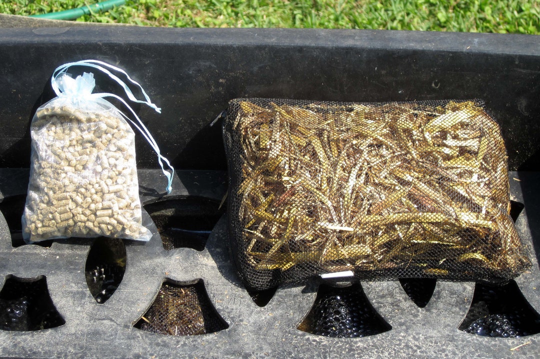 BARLEY Straw or Pellet Packs - ALGAE Control for Your Pond or Water ...