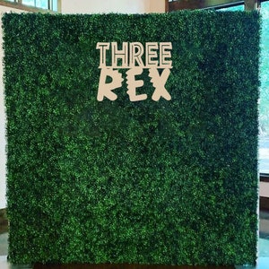 Three, Three Rex, Birthday, Dinosaur Decorations, Dino, 3, Tres Anos ...