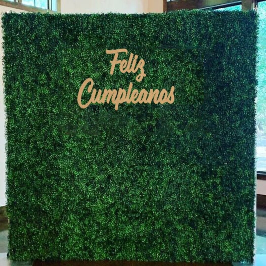 Feliz Cumpleaños, Happy Birthday, Wood Signs, Birthday Party, Fiesta De ...