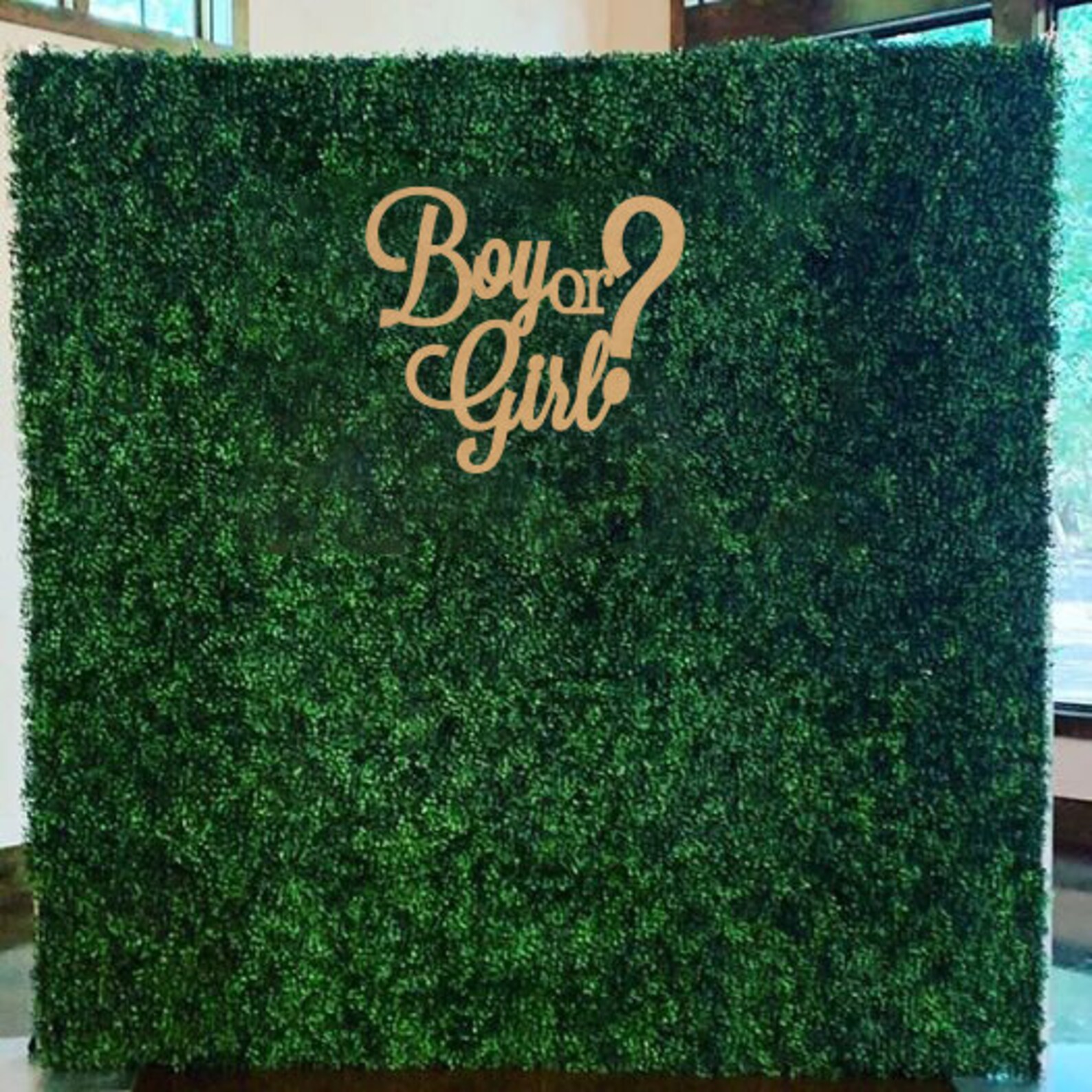 Boy or Girl Wood Sign , Gender Reveal Party Decor, Wood Signs, Boy or ...