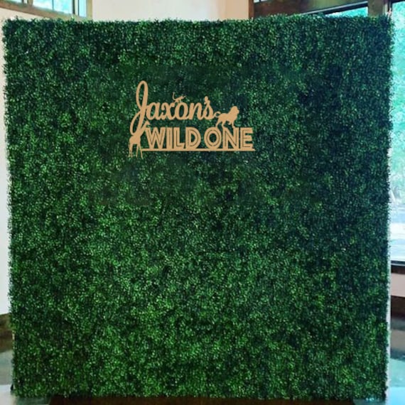 Wild One First Birthday Safari Theme Personalized Wild One - Etsy