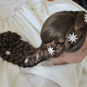 Sissi Wig, Sisi Wig, Empress of Austria Wig Only 300 Gr. - Etsy