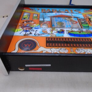 Williams Bad Cats Pinball Head LED Display Light Box - Etsy