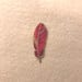 Appliqué - Elegant Embroidered Feather in Magenta, Red and Metallic ...