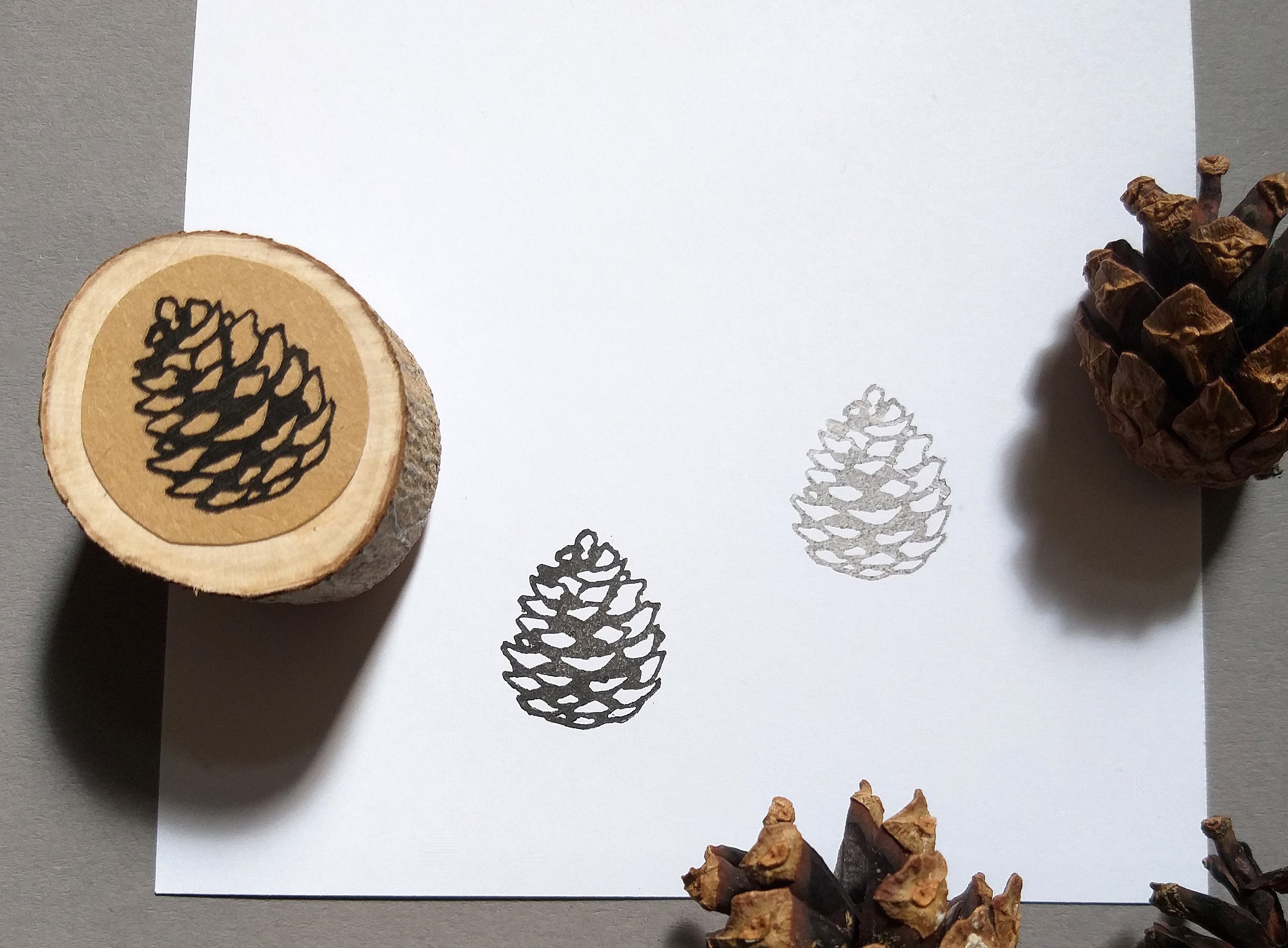 Stamp Pine Cones Cones Forest Fir Tree | Etsy
