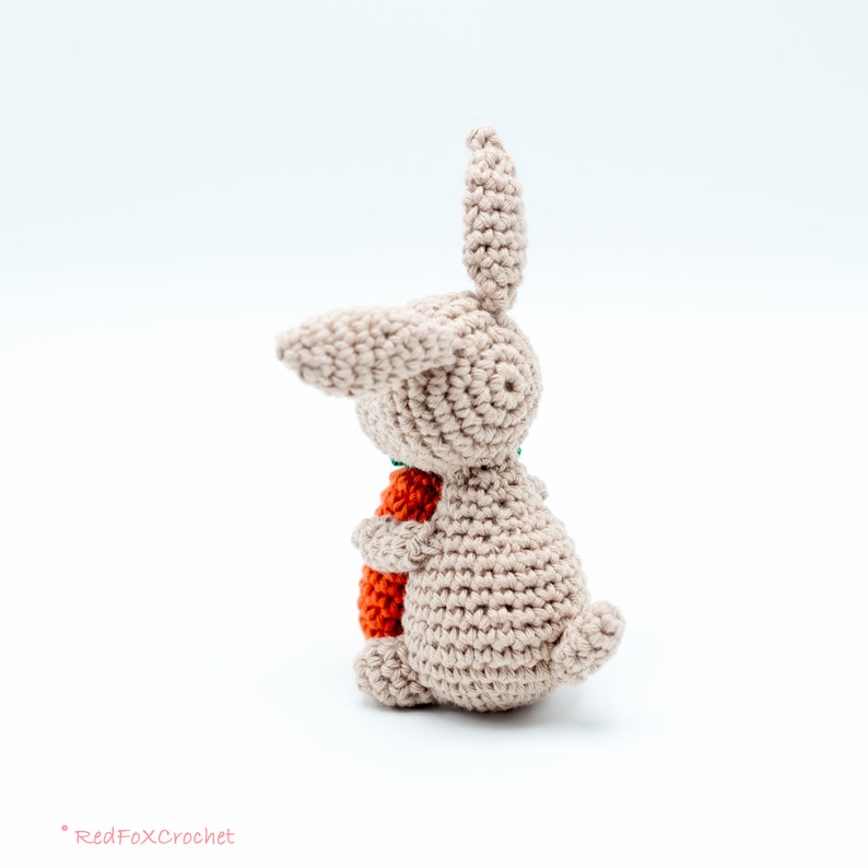 Amigurumi Boris the Bunny Crochet Pattern - Etsy