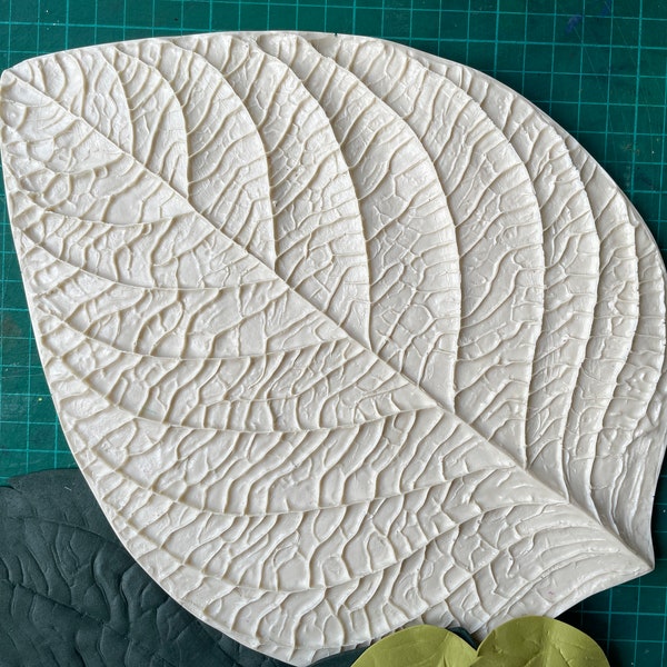 Flower Petal Veiner Silicone - Etsy