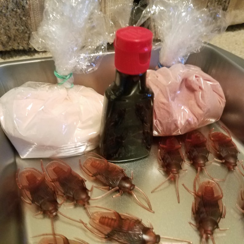 Snowpiercer Roach Protein Bar Recipe Kit Ingredients Food - Etsy