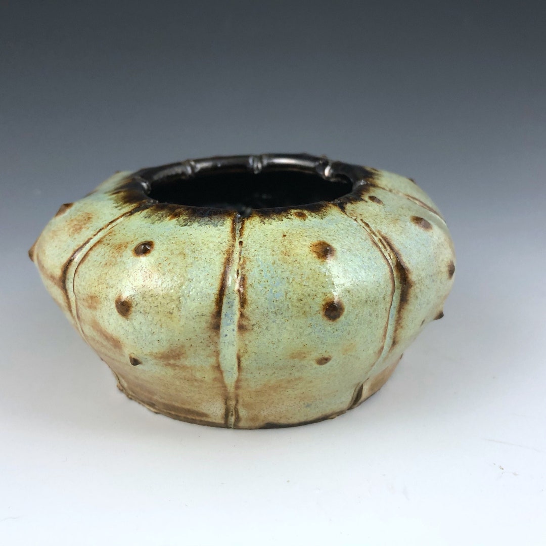 Aqua, Sea Urchin, Ocean, Sea Life, Coastal, Handmade, Art Pottery - Etsy