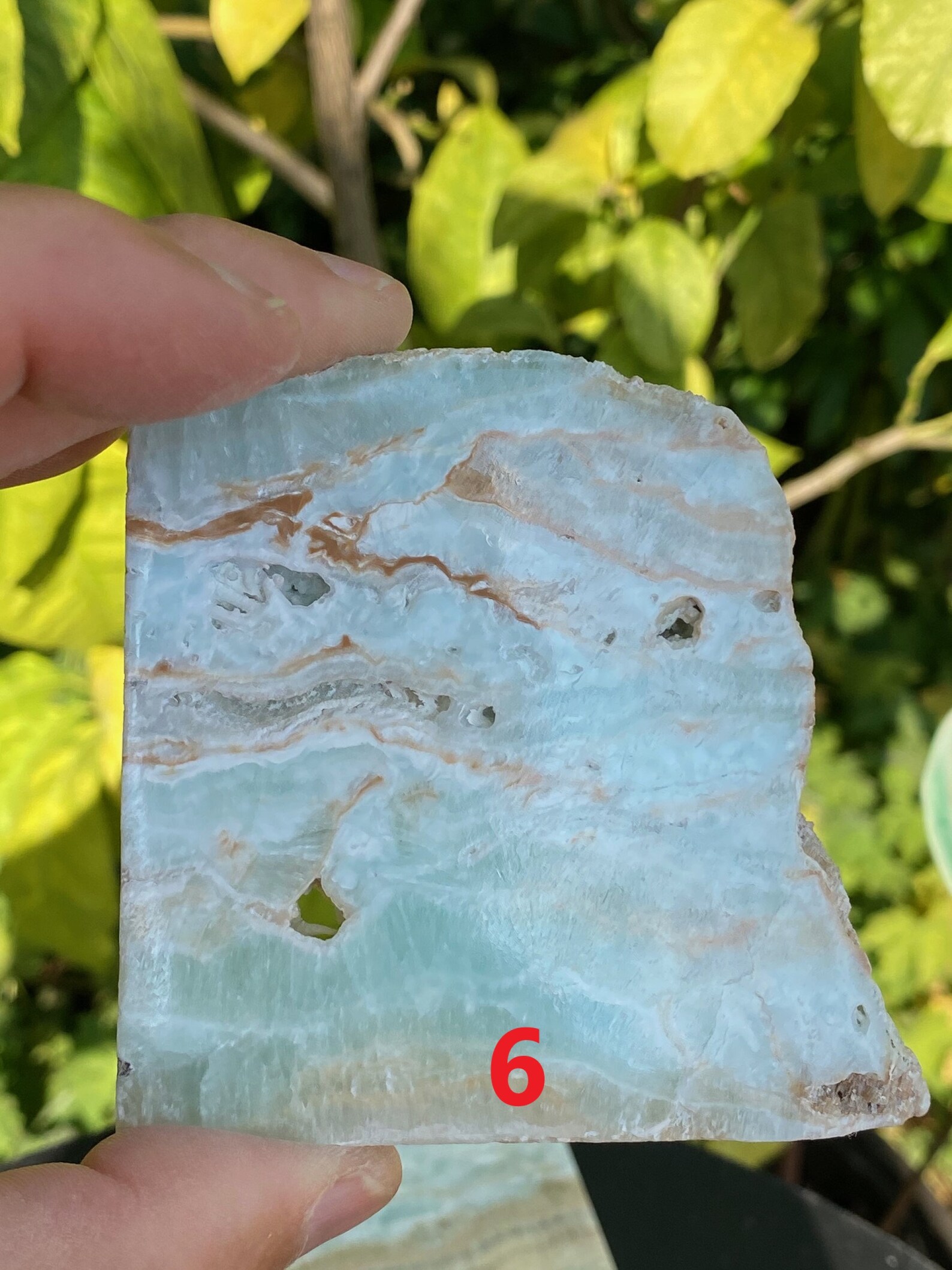 Caribbean Calcite Slabs Blue Aragonite Slabs Pistachio | Etsy