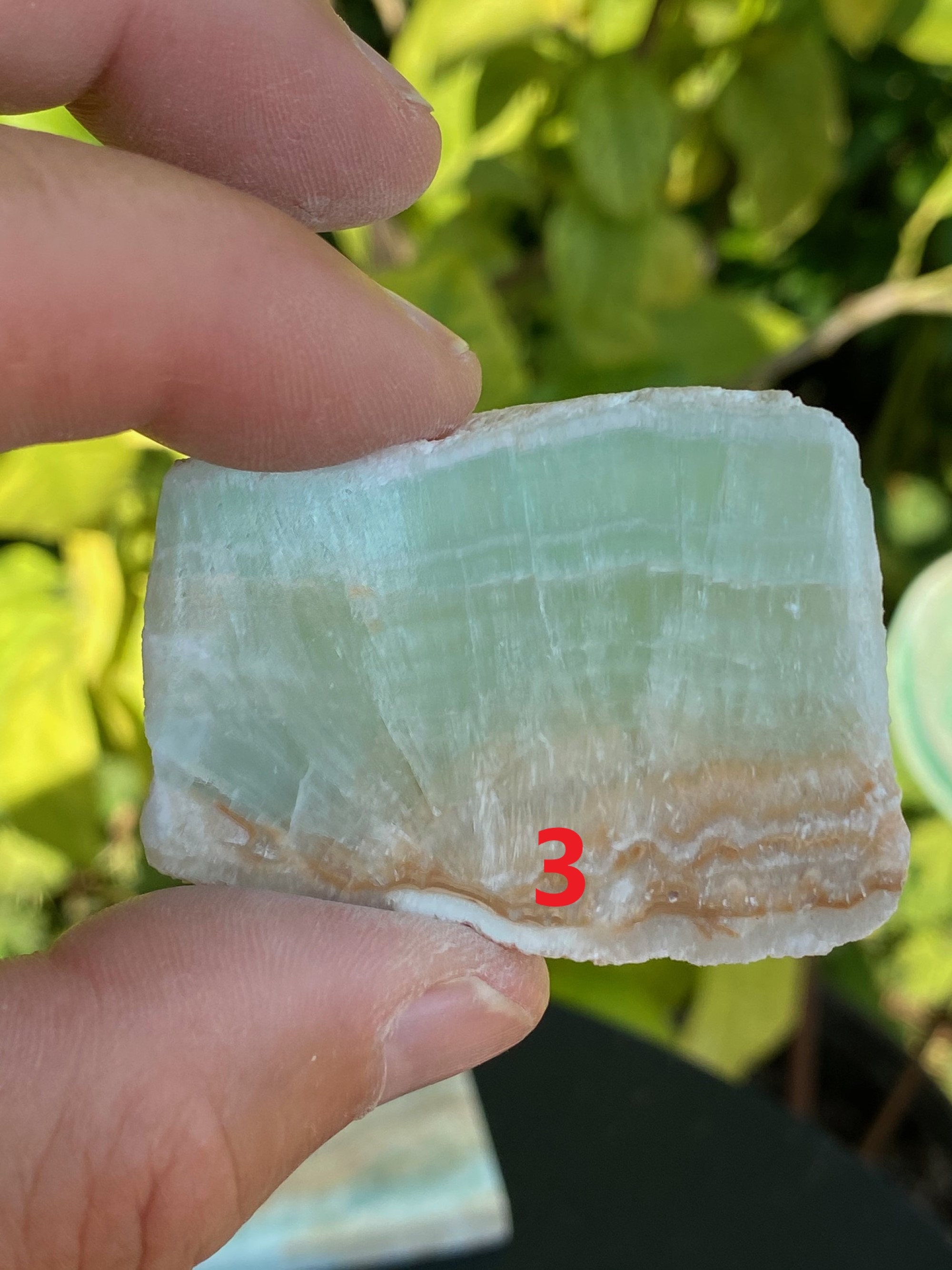 Caribbean Calcite Slabs Blue Aragonite Slabs Pistachio | Etsy