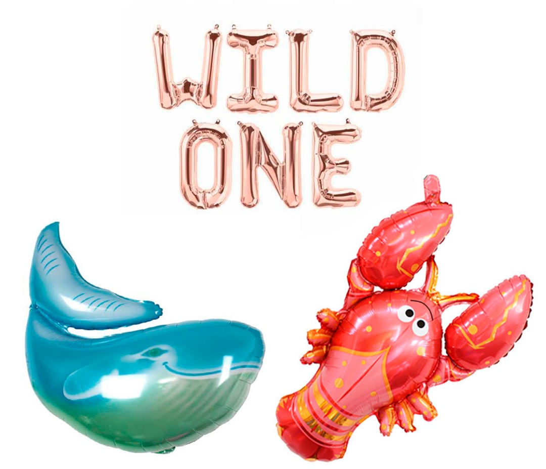 WILD ONE Balloon Rose Gold First Birthday Balloons 16 INCH Baby 1st ...