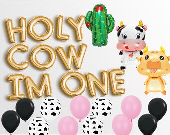 One 1st Rodeo Letters - Etsy