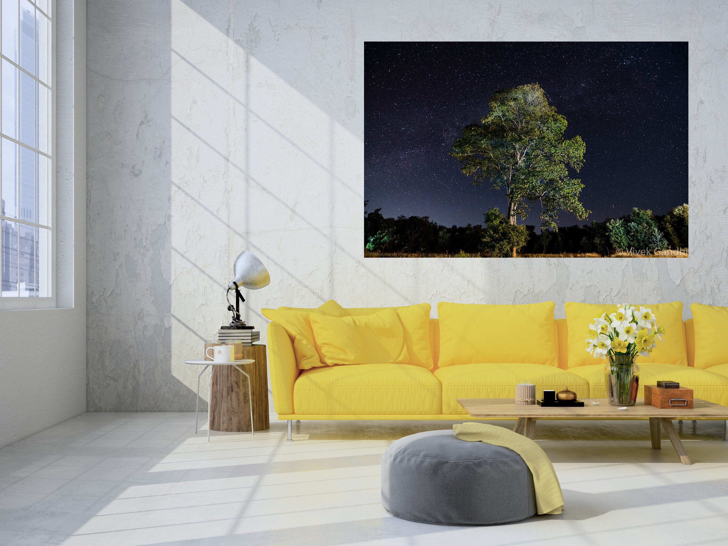 The Tree of Life, Pench National Park, India, Incredible India, Starry ...