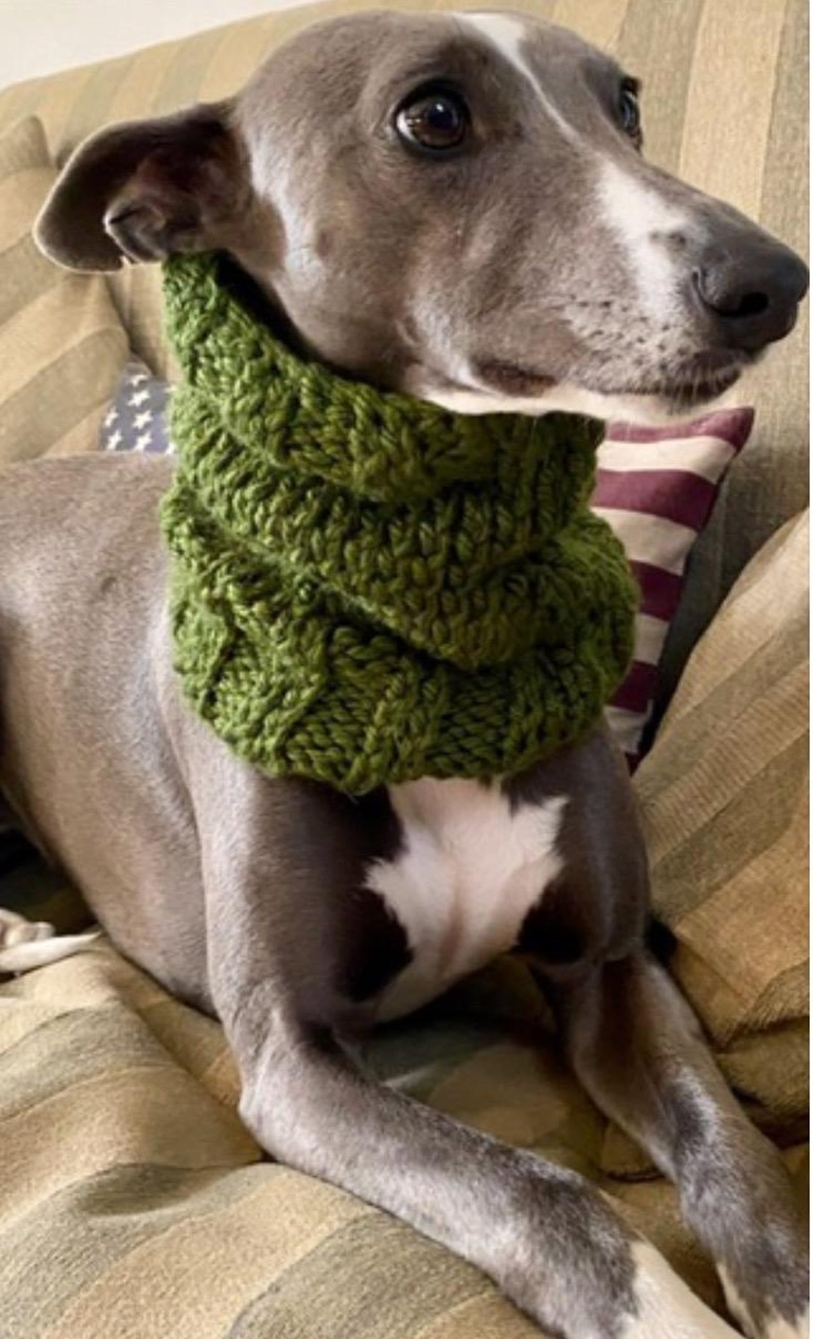 Chunky Knit Snoods | Greyhound | Lurcher | Whippet - Etsy
