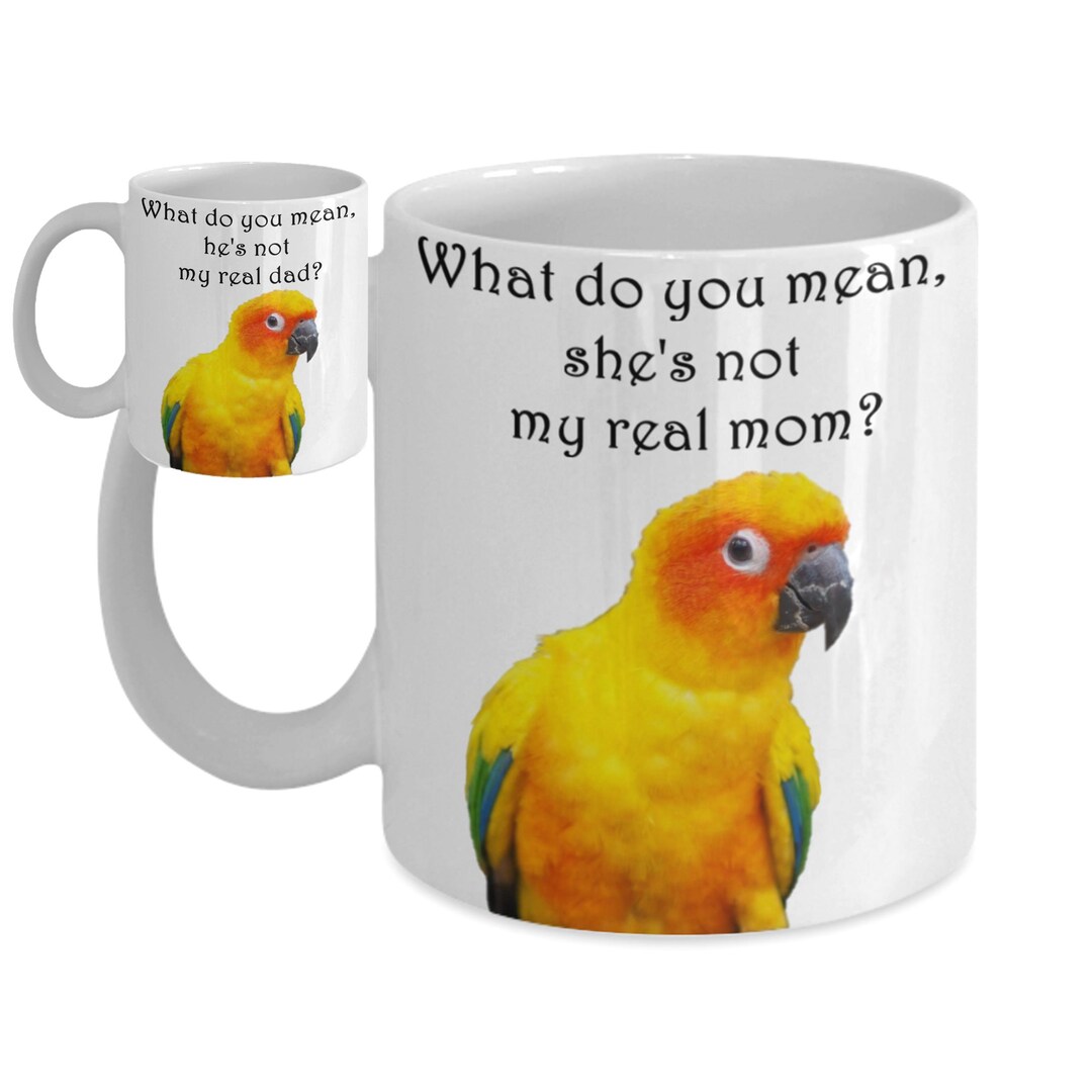 Sweet Sun Conure Mug, Parrot Themed Gift, Sun Conure Gift, Sun Conure ...