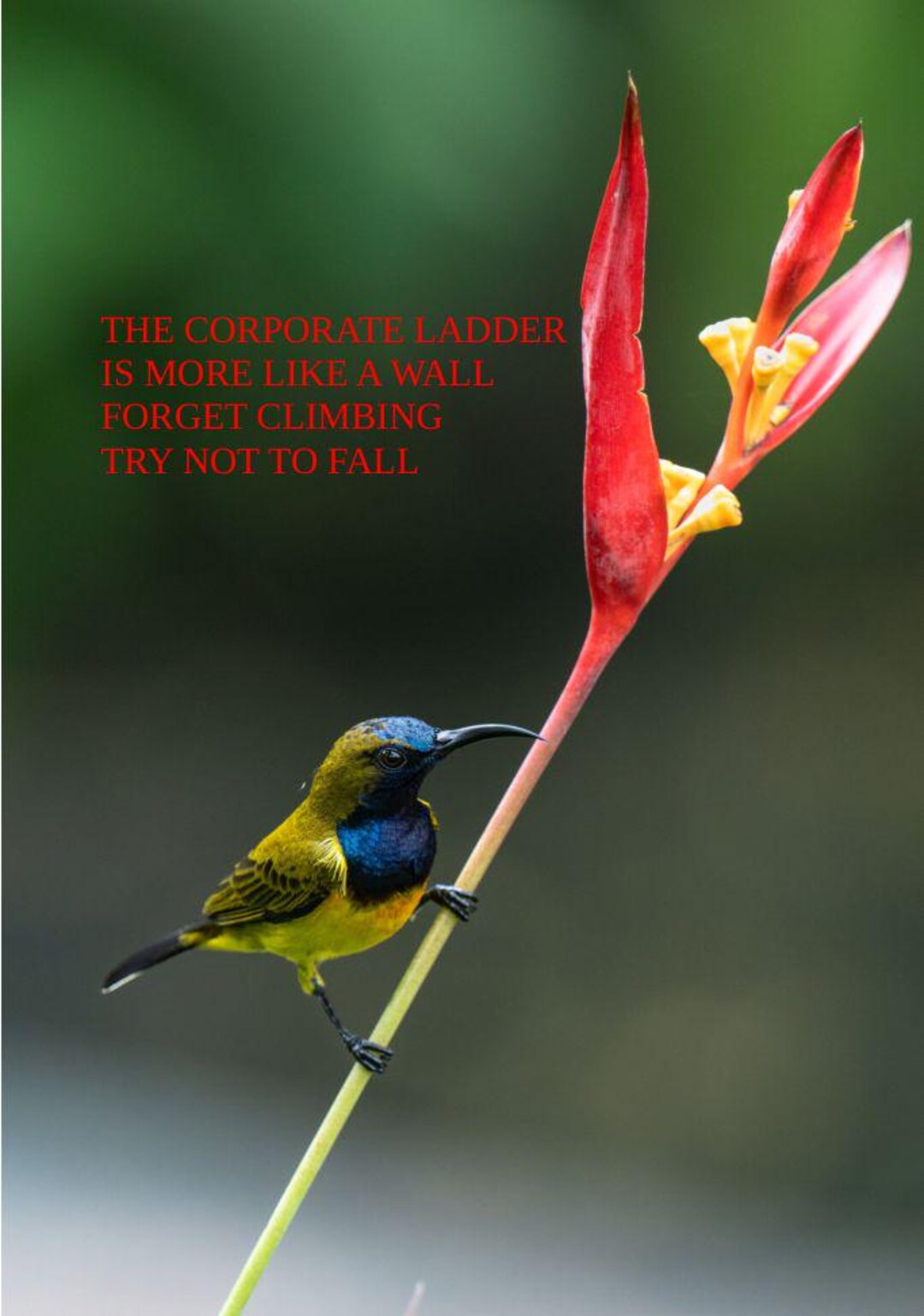 Corporate Ladder Poem. Short Poem. Printable Poem. Instant Download ...