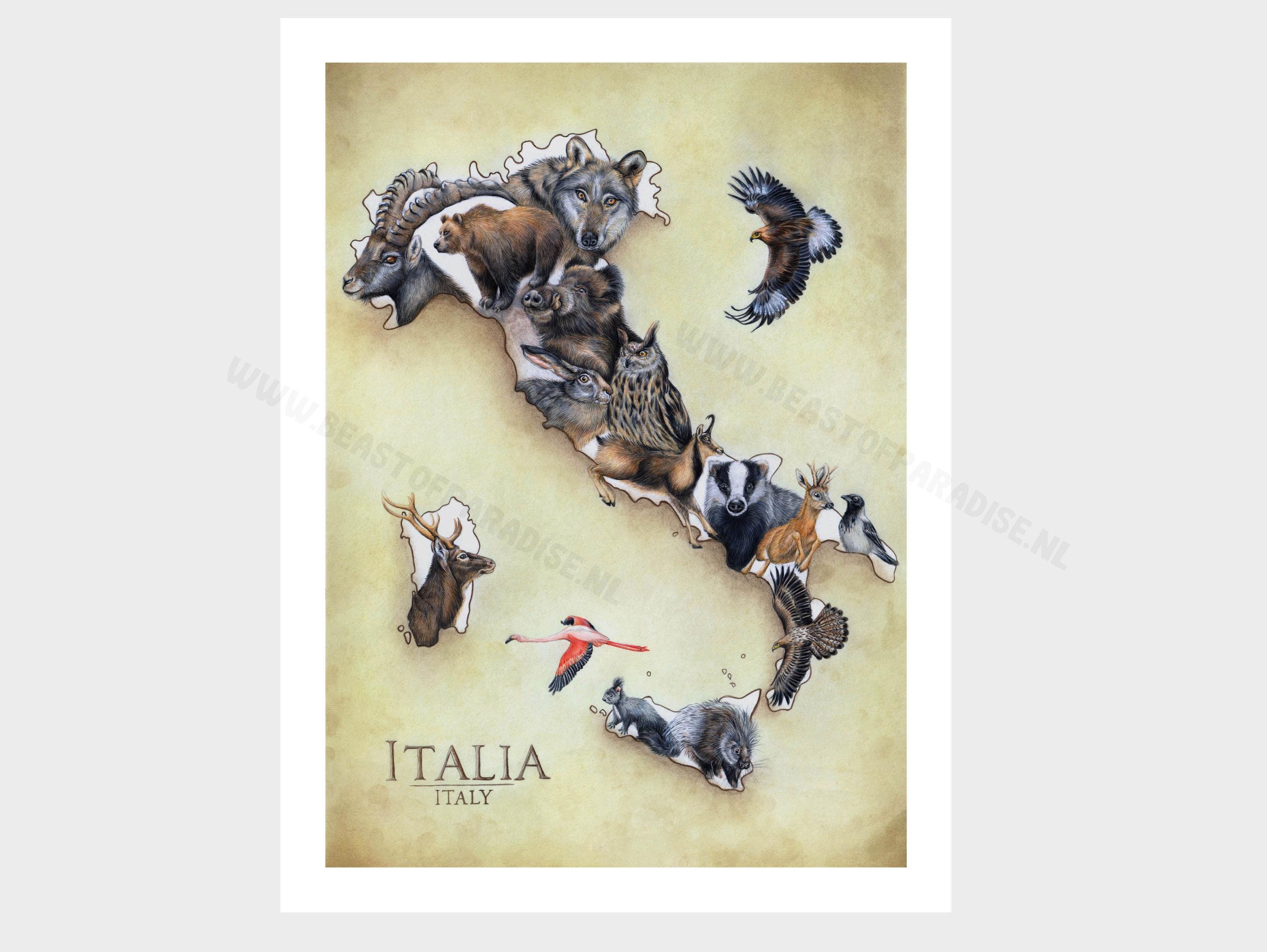 Wildlife of Italy, Animal Map, Italy Poster, Gift for Traveller, Travel ...