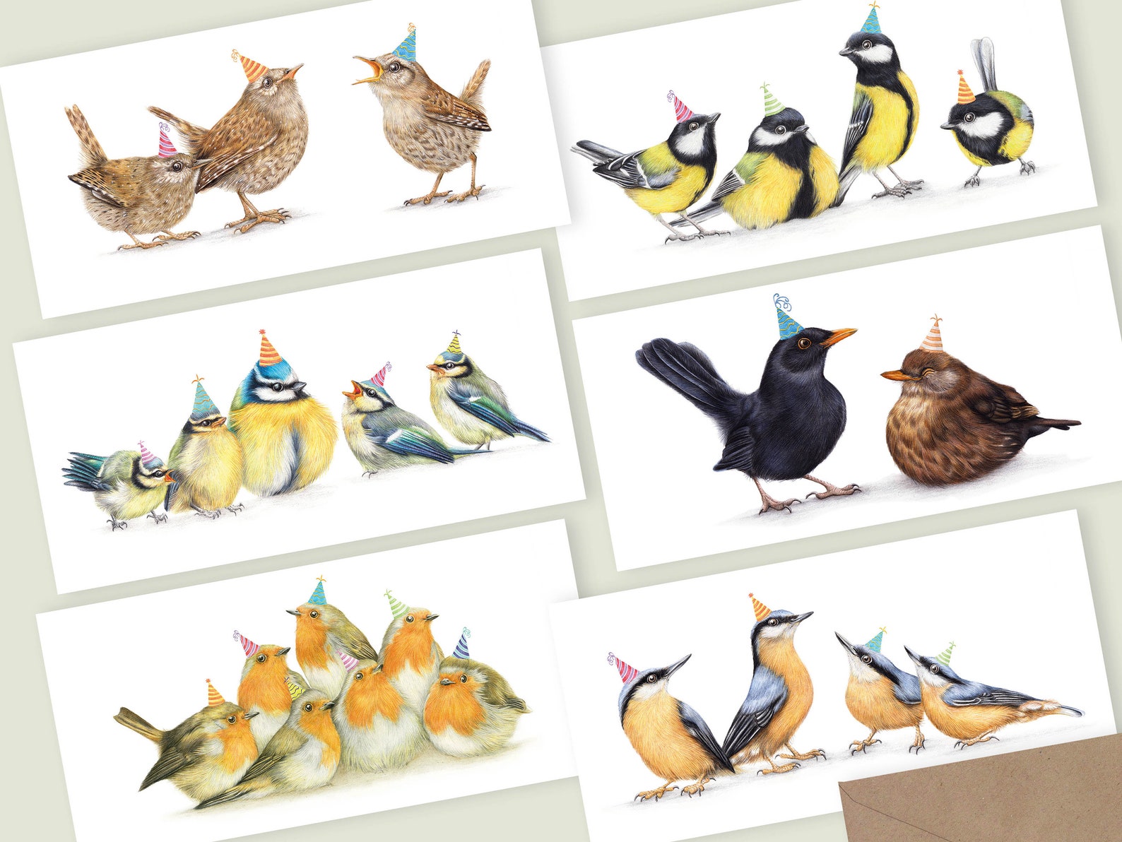 Birthday Cards, Set of 6, Bird Greeting Cards, Animal Cards, Gift for ...