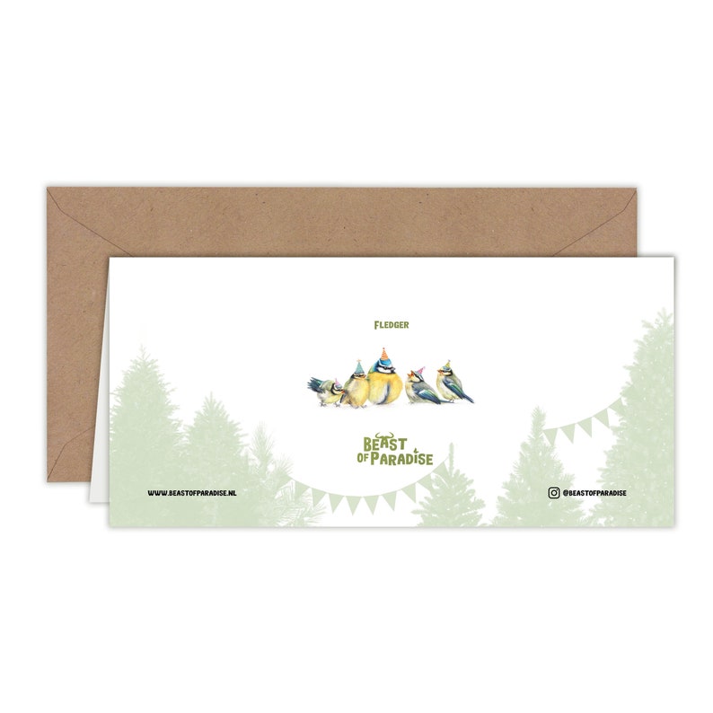 Birthday Cards, Set of 6, Bird Greeting Cards, Animal Cards, Gift for ...