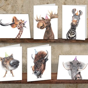 Funny Birthday Animal Cards Set of 6 Greeting Cards - Etsy