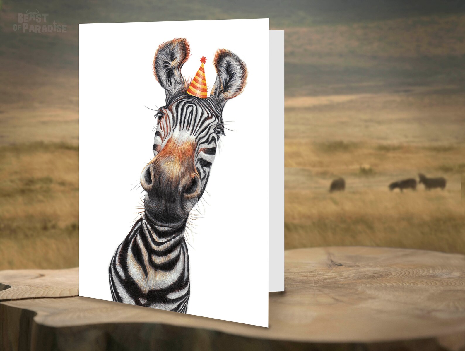 Funny Birthday Animal Cards Set of 6 Greeting Cards - Etsy