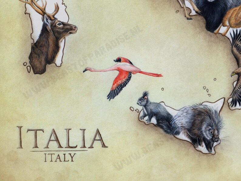 Wildlife of Italy, Animal Map, Italy Poster, Gift for Traveller, Travel ...