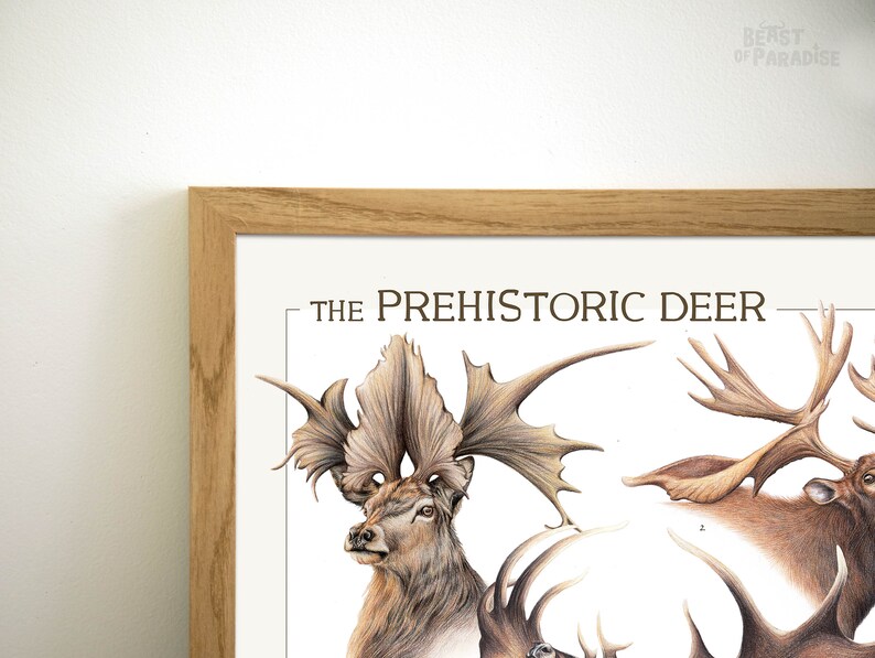The Prehistoric Deer Poster, A3 Posters, Scientific Illustration, Gift ...