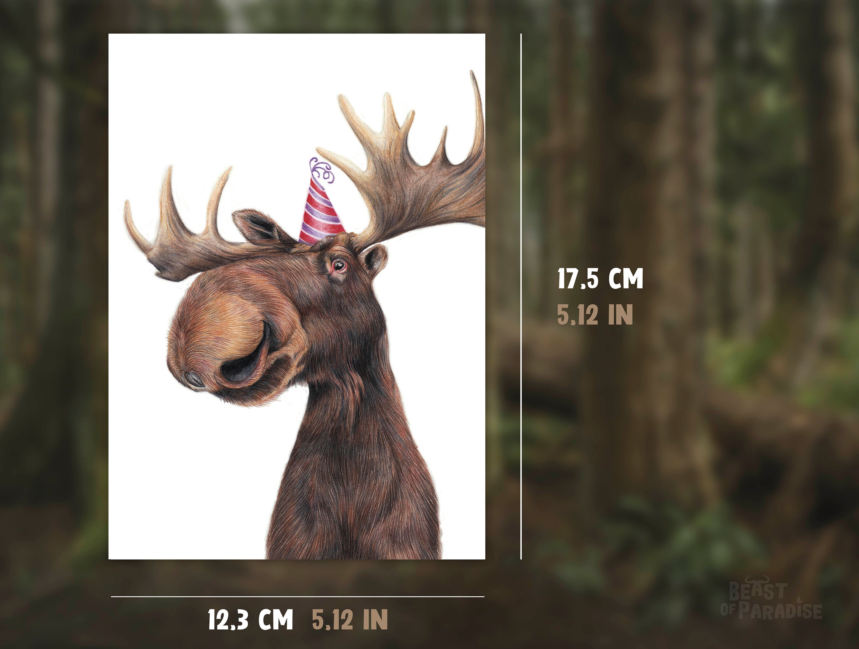 Funny Birthday Animal Cards Set of 6 Greeting Cards - Etsy