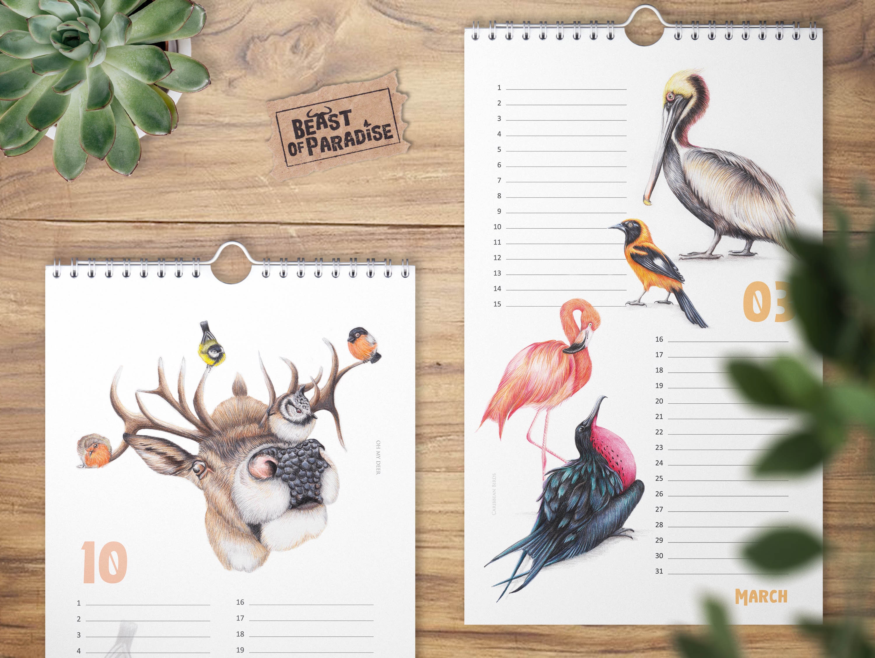 Wildlife Birthday Calendar Perpetual Calendar Birds | Etsy