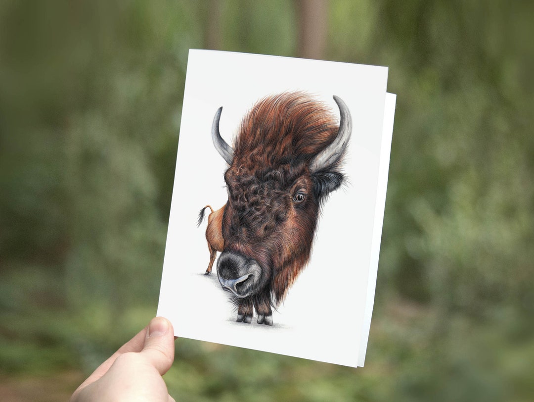 Bison Card, Birthday Card, Greeting Card, Whimsical Cards, Blank Cards ...