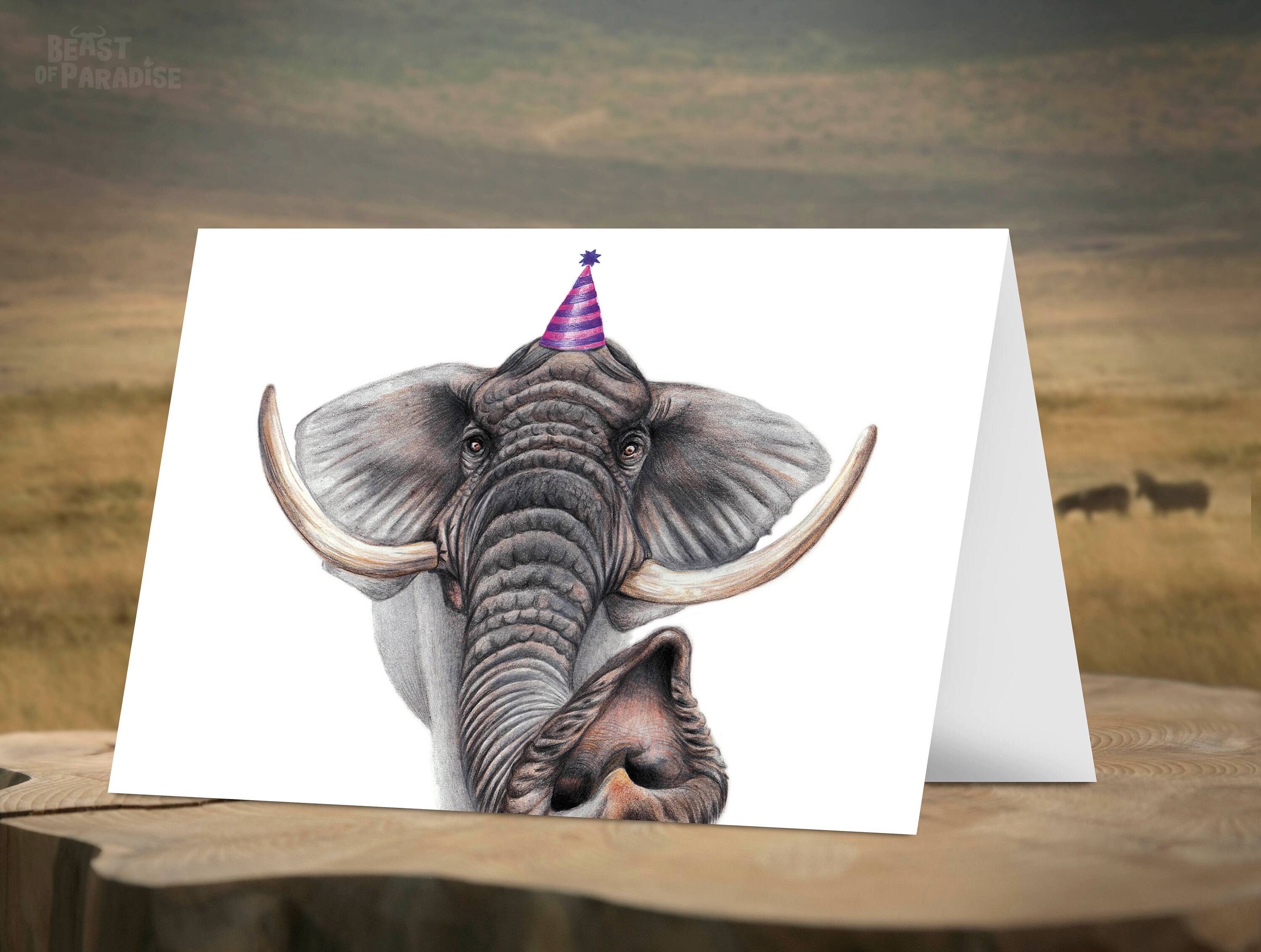 Funny Birthday Animal Cards Set of 6 Greeting Cards - Etsy