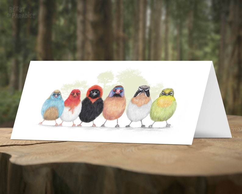 6 Funny Cards, Cute Little Birdie Cards, Set of 6, Animal Greeting ...