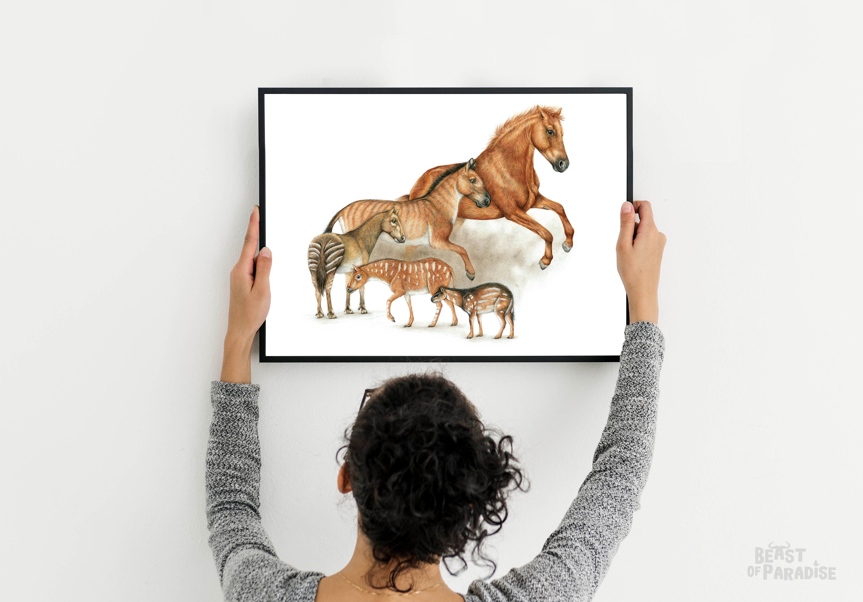 The Evolution of the Horse, Horse Poster, Scientific Illustration ...