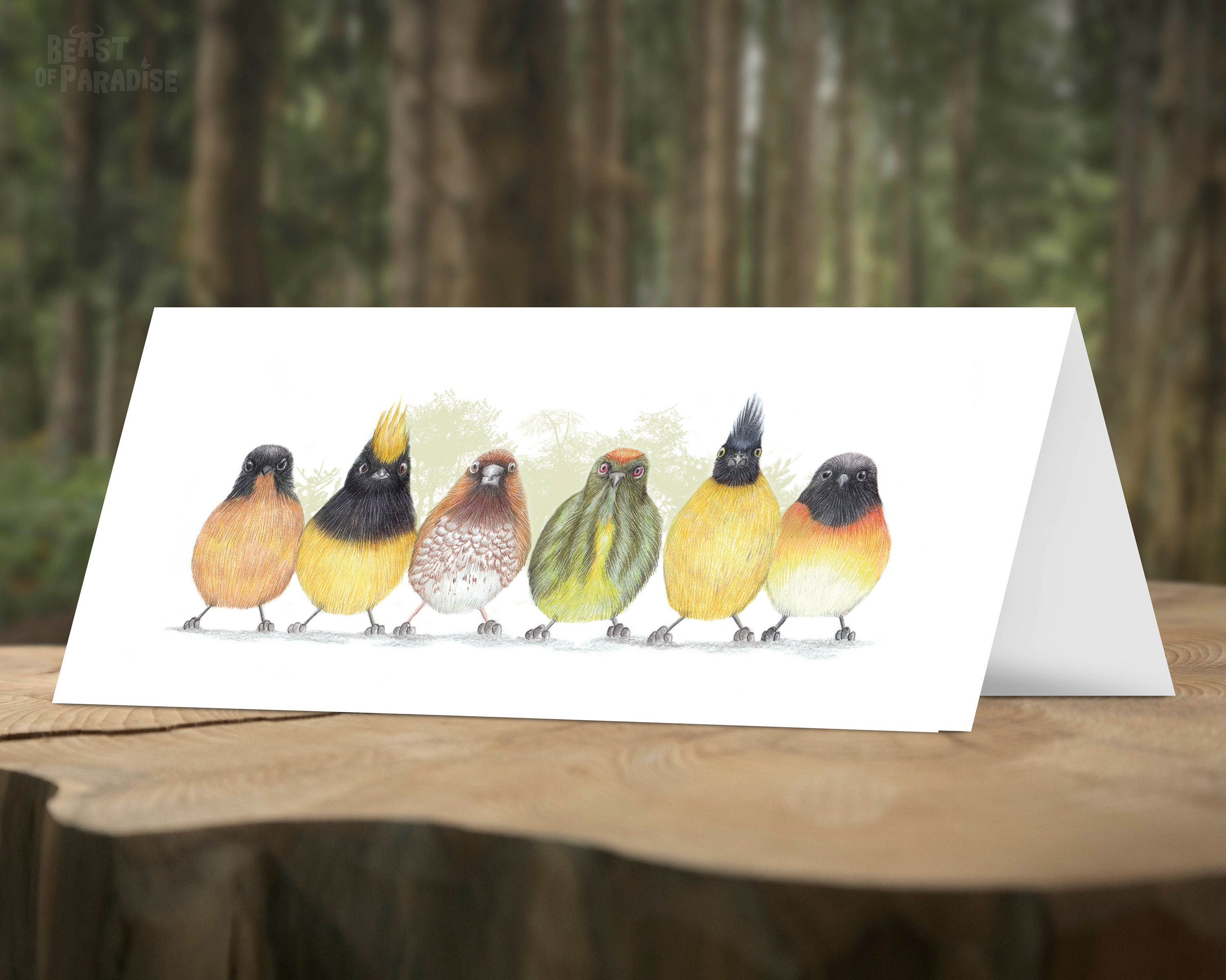 6 Funny Cards, Cute Little Birdie Cards, Set of 6, Animal Greeting ...
