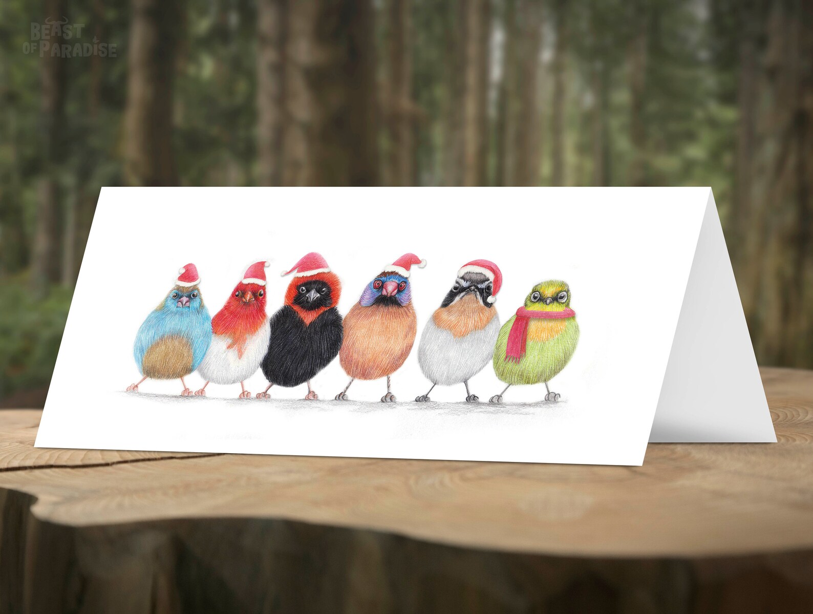 6x Christmas Cards Set of 6 Cute Little Birdies Handmade - Etsy