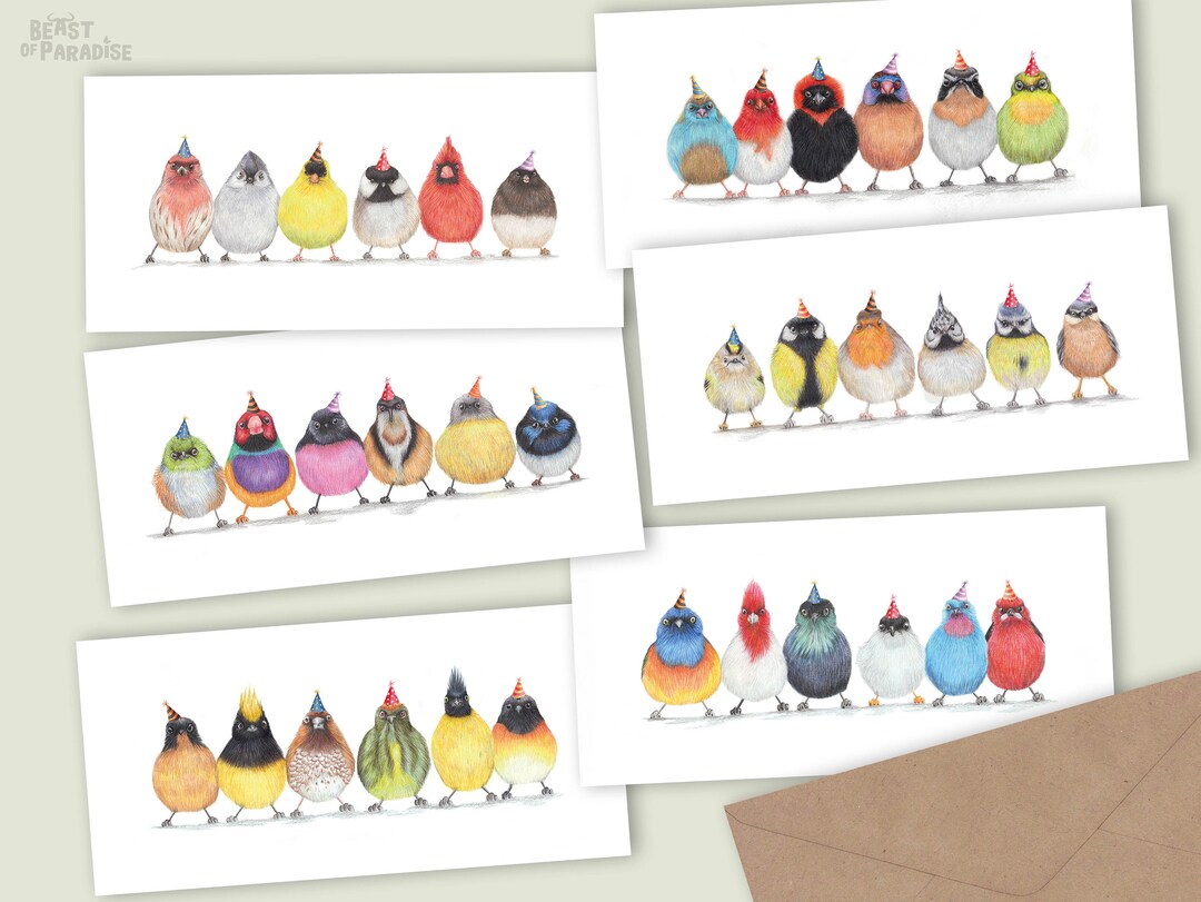 6 Cute Little Birdies, Birthday Cards, Set of 6, Funny Animal Cards, B ...
