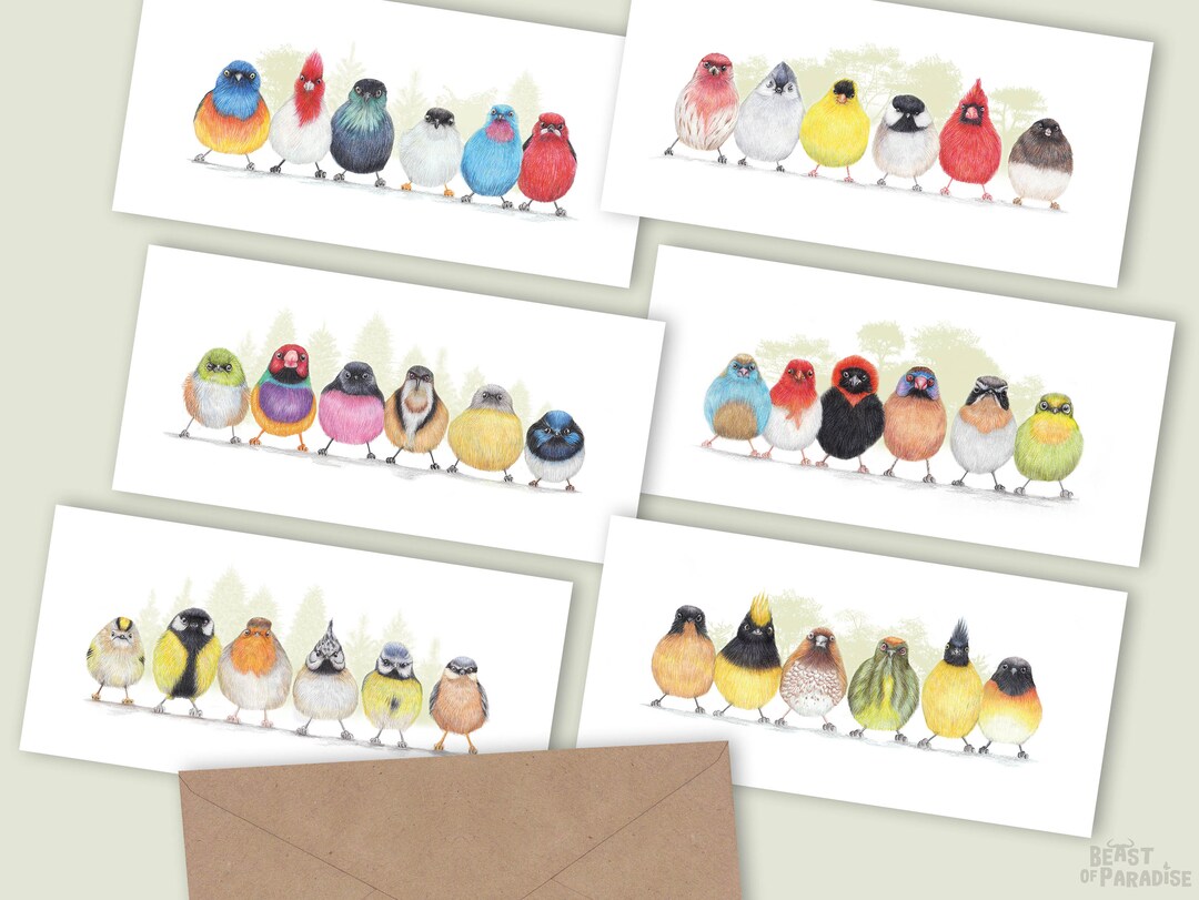 6 Funny Cards, Cute Little Birdie Cards, Set of 6, Animal Greeting ...