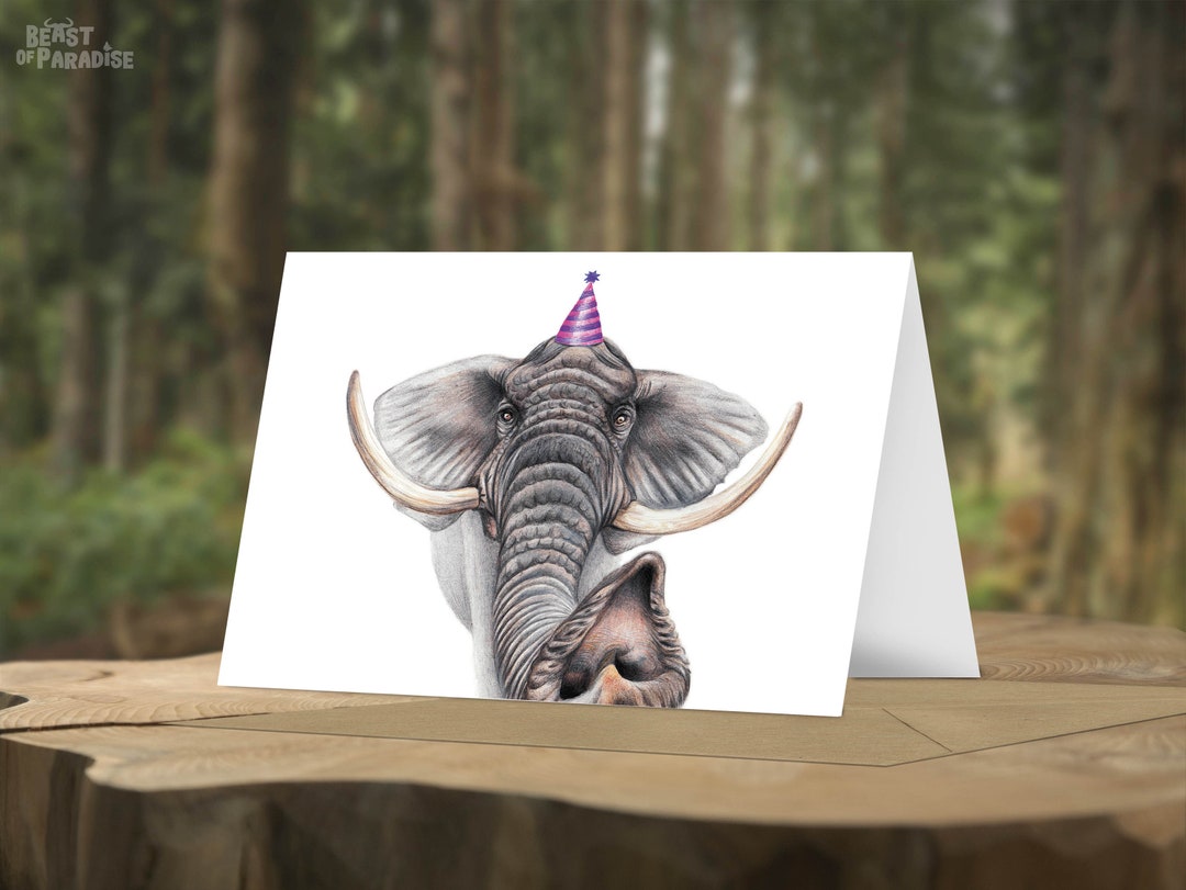 Elephant Card, Birthday Card, Greeting Card, Whimsical Cards, Blank ...