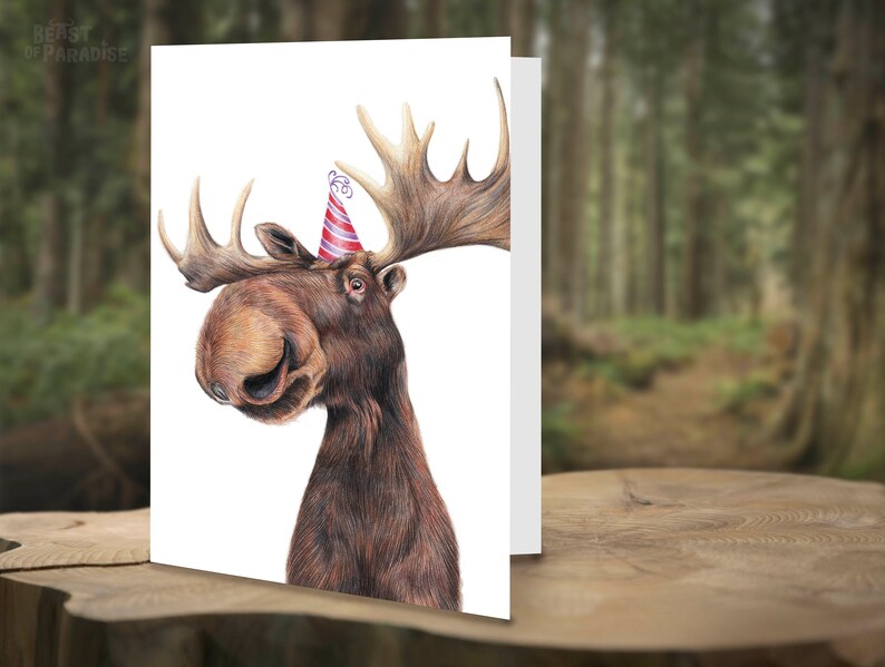 Funny Birthday Animal Cards Set of 6 Greeting Cards - Etsy