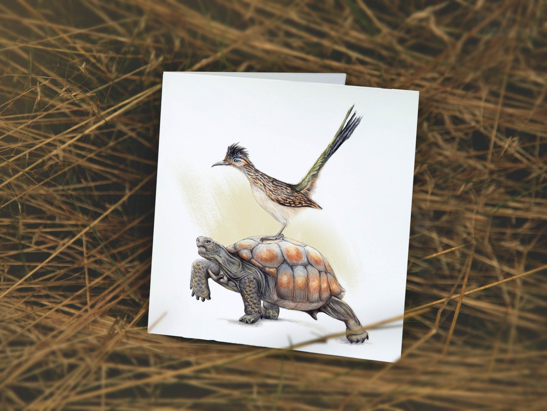 Tortoise & Roadrunner Card, Birthday Card, Greeting Card, Whimsical ...