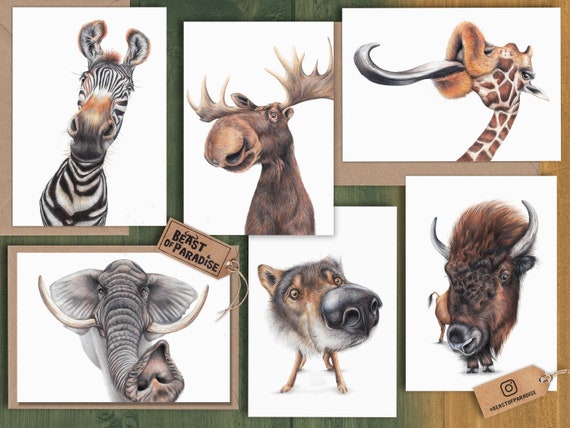 Funny Animal Cards Set of 6 Greeting Cards Handmade Card - Etsy