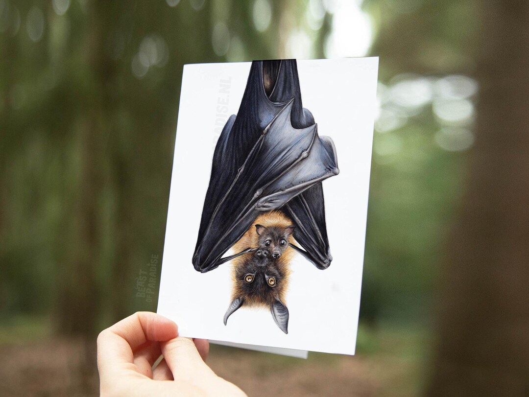 Flying Fox Card, Hang in There Card, Bat Greeting Card, Birthday Card ...