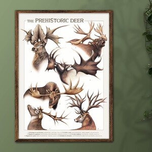 The Prehistoric Deer Poster A3 Posters Scientific - Etsy